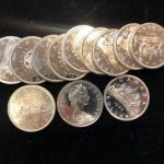 Canadian Silver Dollars Large Crown Sized coins! – Steinmetz Coins ...