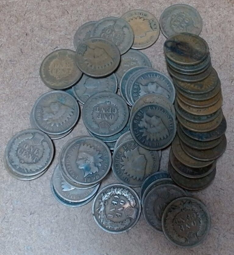 Late 1800s Bulk Indian Head Pennies (50 coins!) – Steinmetz Coins ...