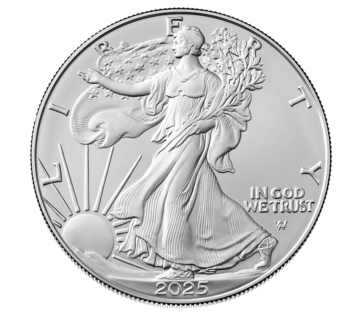 2025 W Burnished “Uncirculated” Silver American Eagle – Steinmetz Coins ...